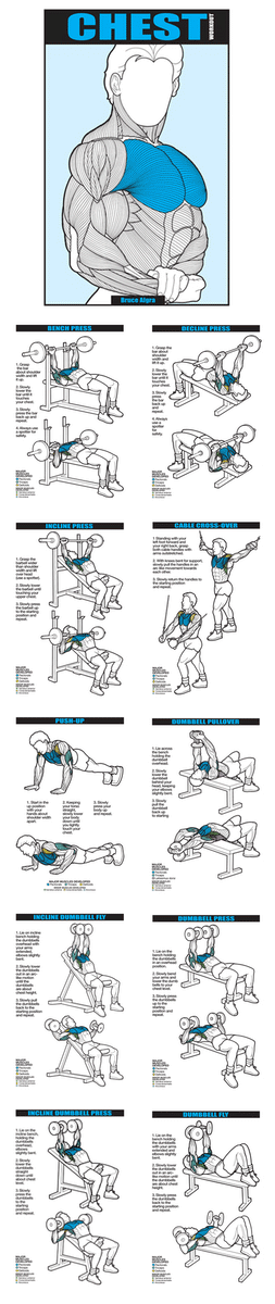 Algra Co-Ed Series Chest Workout Booklet – The Fitness Store