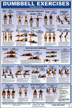 Dumbbell Exercises Poster - Shoulder and Arms – The Fitness Store