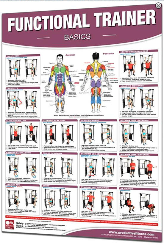 Productive Fitness Products Functional Trainer: Basics Poster – The ...